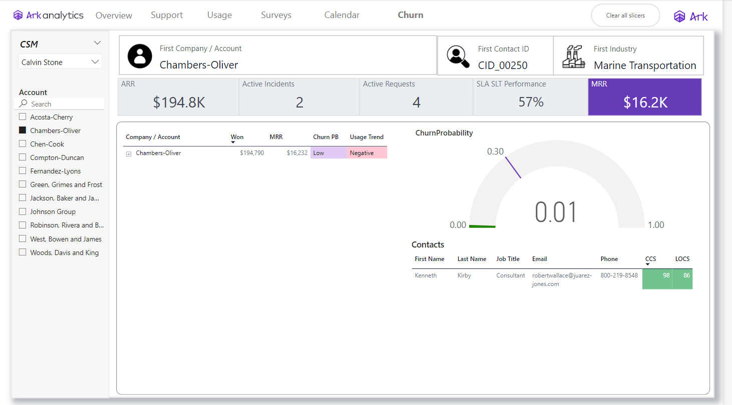 Customer Success – Ark Analytics