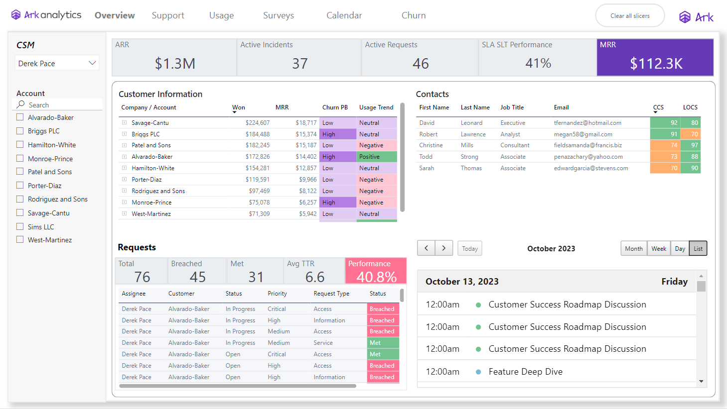 Customer Success – Ark Analytics
